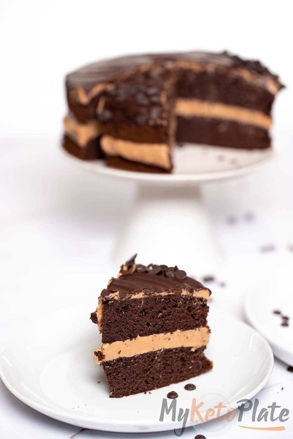 The Best Keto Chocolate Cake - MyKetoPlate