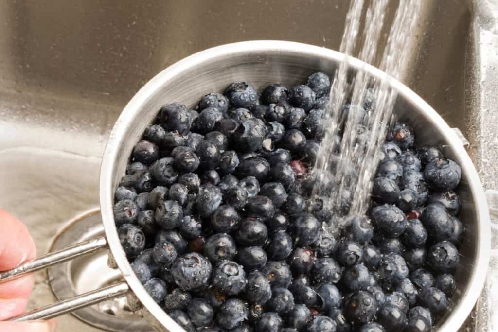 Chocolate Covered Blueberries (3 Ingredients) - MyKetoPlate