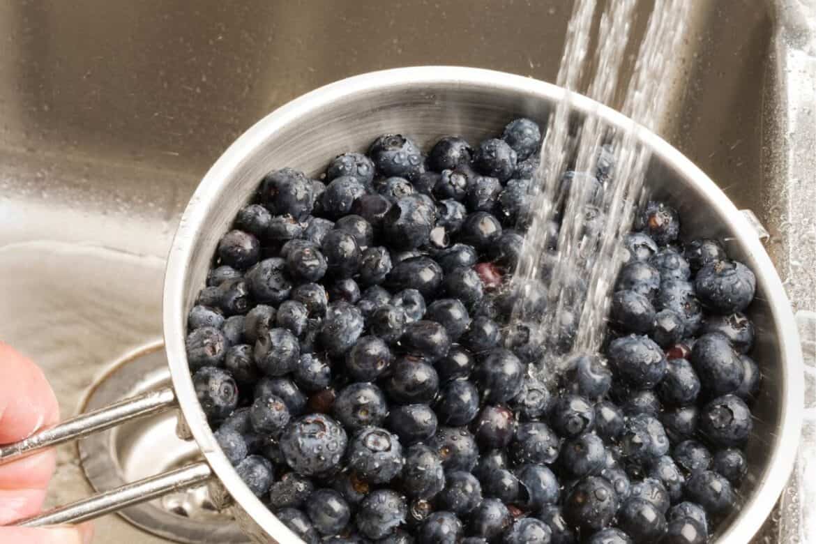 Chocolate Covered Blueberries (3 Ingredients) - MyKetoPlate